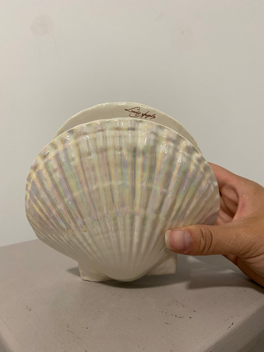 Iridescent seashells – Turquoise's Treasures